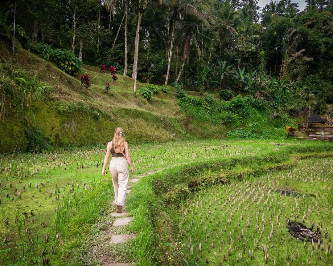 The BEST Things to Do in Tegalalang Bali